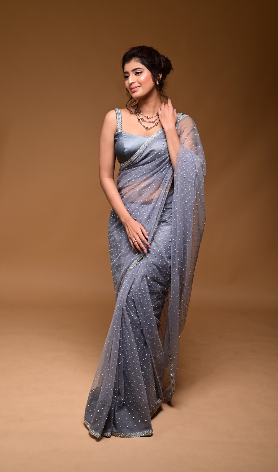 Grey Neted Crystal Work on saree - RAASRANG